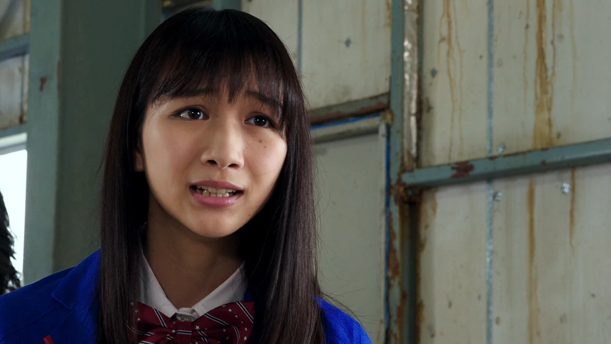 Karin Yamabuki | Kamen Rider Wiki | Fandom