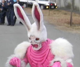 Pink Rabbit Imagin | Kamen Rider Wiki | Fandom