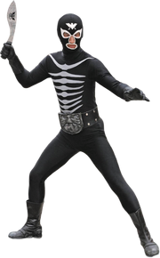 Shocker Combatmen | Kamen Rider Wiki | Fandom