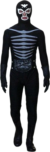 Super Shocker Combatmen | Kamen Rider Wiki | Fandom