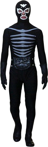 Dai-Shocker Combatmen | Kamen Rider Wiki | Fandom