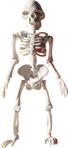 Great Leader | Kamen Rider Wiki | Fandom