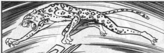 Leopard Beastman | Kamen Rider Wiki | Fandom