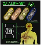 Category:Museum | Kamen Rider Wiki | Fandom