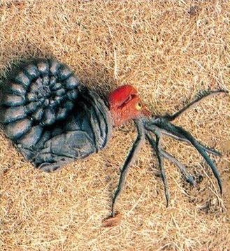 Ammonite Mutant | Kamen Rider Wiki | Fandom