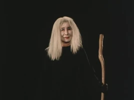 Mirror Lizard | Kamen Rider Wiki | Fandom