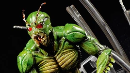 Shiin Kazamatsuri | Kamen Rider Wiki | Fandom