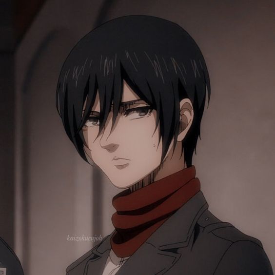 Mikasa Ackerman Character Profile Wikia Fandom