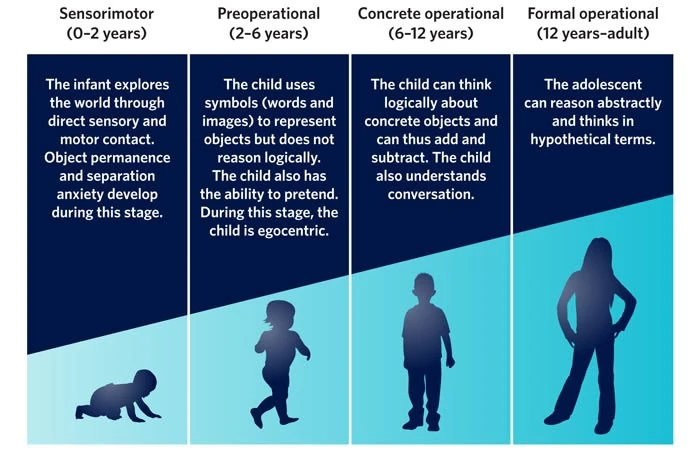 Cognitive Development Across Lifespan | Kamilogy Wiki | Fandom