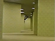 Still Life | Kane Pixels Backrooms Wiki | Fandom