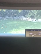 Room 14D | Kane Pixels Backrooms Wiki | Fandom