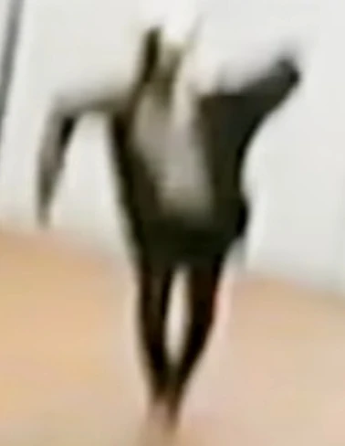 Still Life | Kane Pixels Backrooms Wiki | Fandom