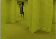 Lifeform Sightings | Kane Pixels Backrooms Wiki | Fandom