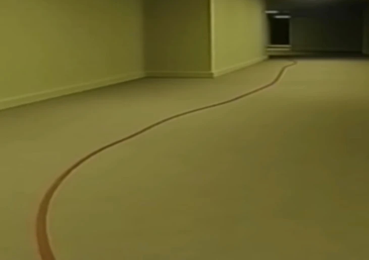 Guide Lines | Kane Pixels Backrooms Wiki | Fandom