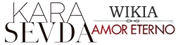 Kara Sevda | Kara Sevda Wiki | Fandom