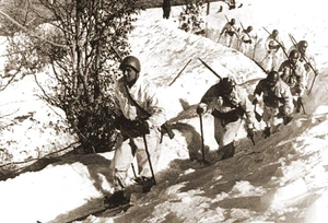 2nd Alpini Regiment | Kards - The WWII CCG Wiki | Fandom