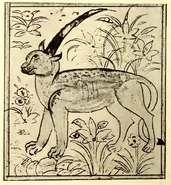 Shadhavar | Unicorn Wiki | Fandom