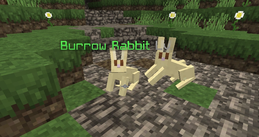 Burrow Rabbit | Karma Network MC Wiki | Fandom
