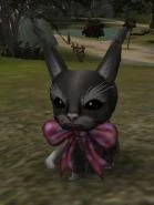 Mascotas | Wiki Karos Online Latino | Fandom