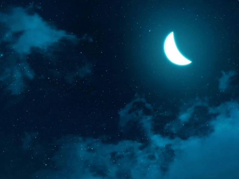 Backgrounds | Karuta Wiki | Fandom