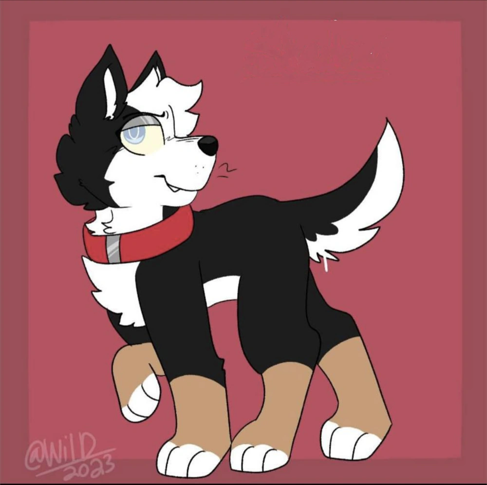 Shadow | Kaseyverse Wiki | Fandom