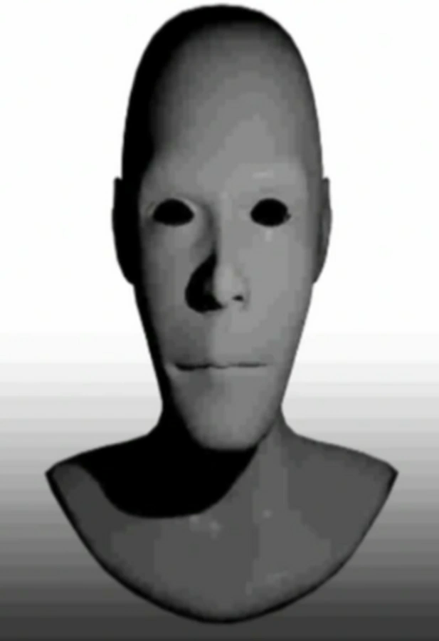 Face Studio 2 Alternate | Каталог Манделы Вики | Fandom