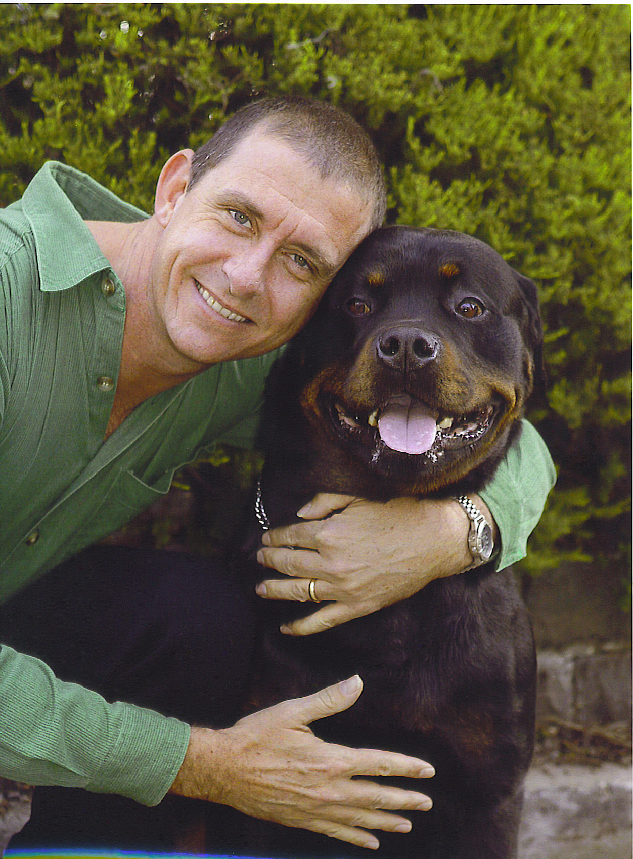 What Happened To Cujo The Dog