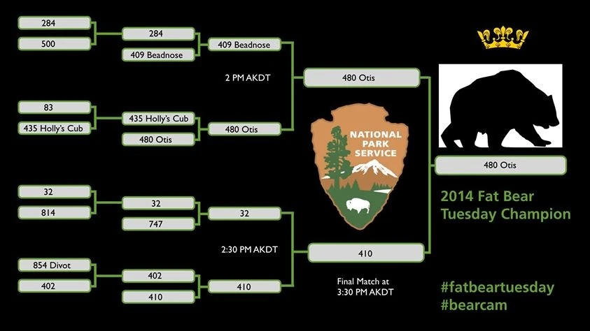 2017 Fat Bear Week | Katmai Bearcams Wiki | Fandom