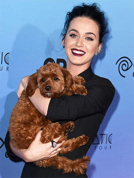 Butters | Wiki Katy Perry | Fandom