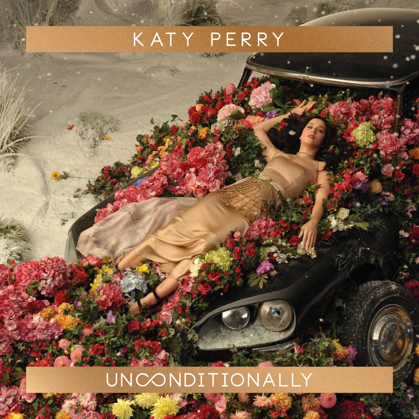 Roar Katy Perry Single Cover