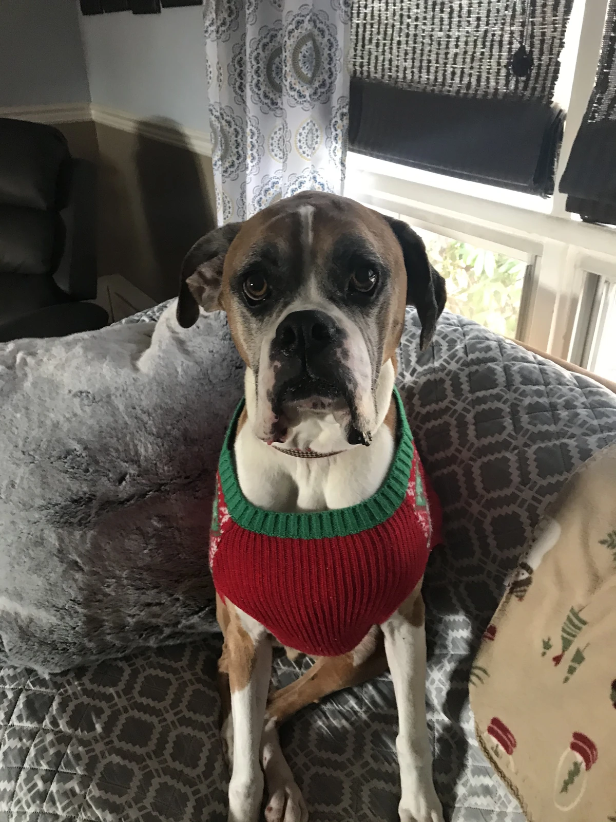 Utley | Kavcak Wiki | Fandom