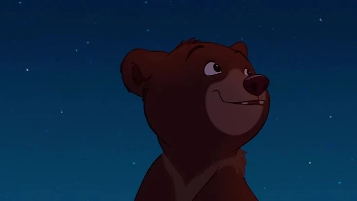 The Many Adventures of Koda the Bear | Kayla Mcnatt Wiki | Fandom