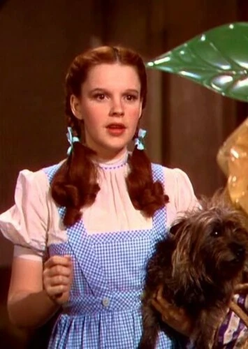 Dorothyrella (My Tree House's Design) | Kayla Mcnatt Wiki | Fandom