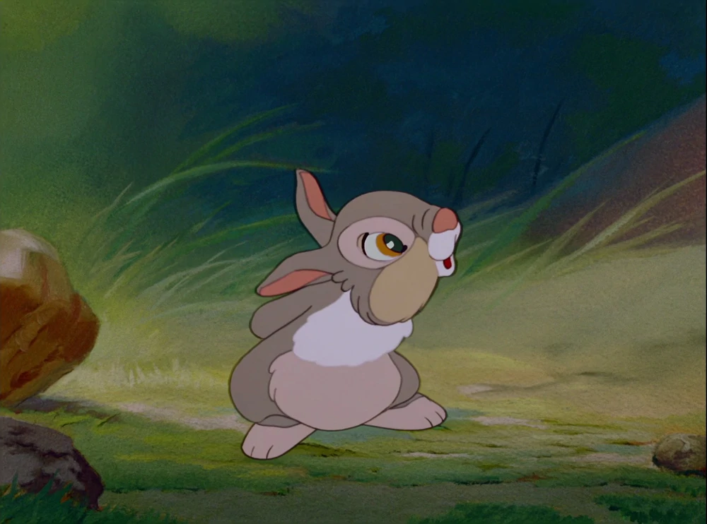 The Rabbit and the Simba | Kayla Mcnatt Wiki | Fandom