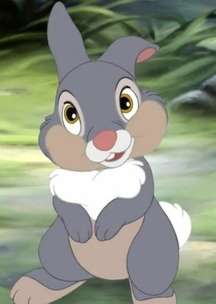 The Rabbit and the Simba | Kayla Mcnatt Wiki | Fandom