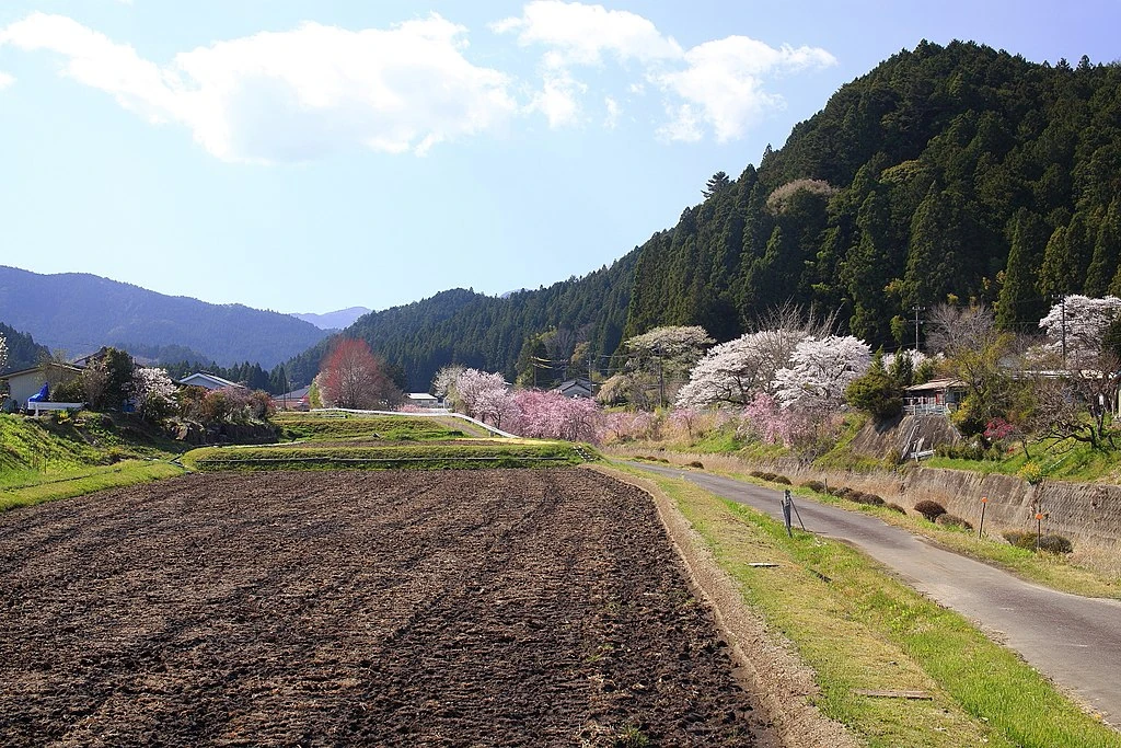 Monji | Kayon Wiki | Fandom