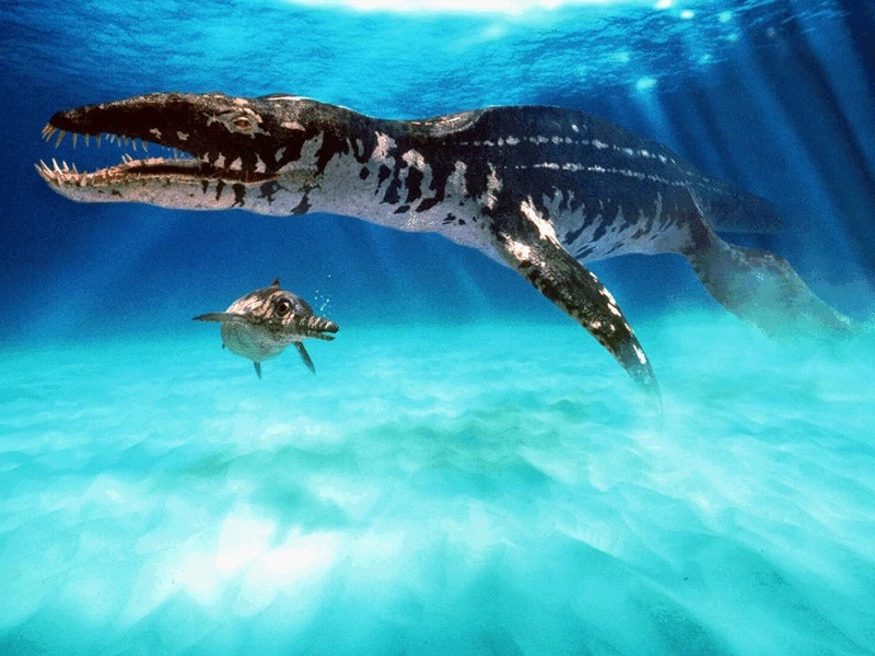 Pliosaurus | Ka-Zar of Prehistoria Wiki | Fandom