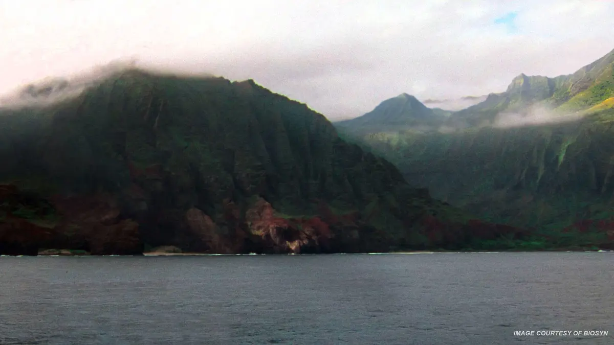 Sojar | Ka-Zar of Prehistoria Wiki | Fandom