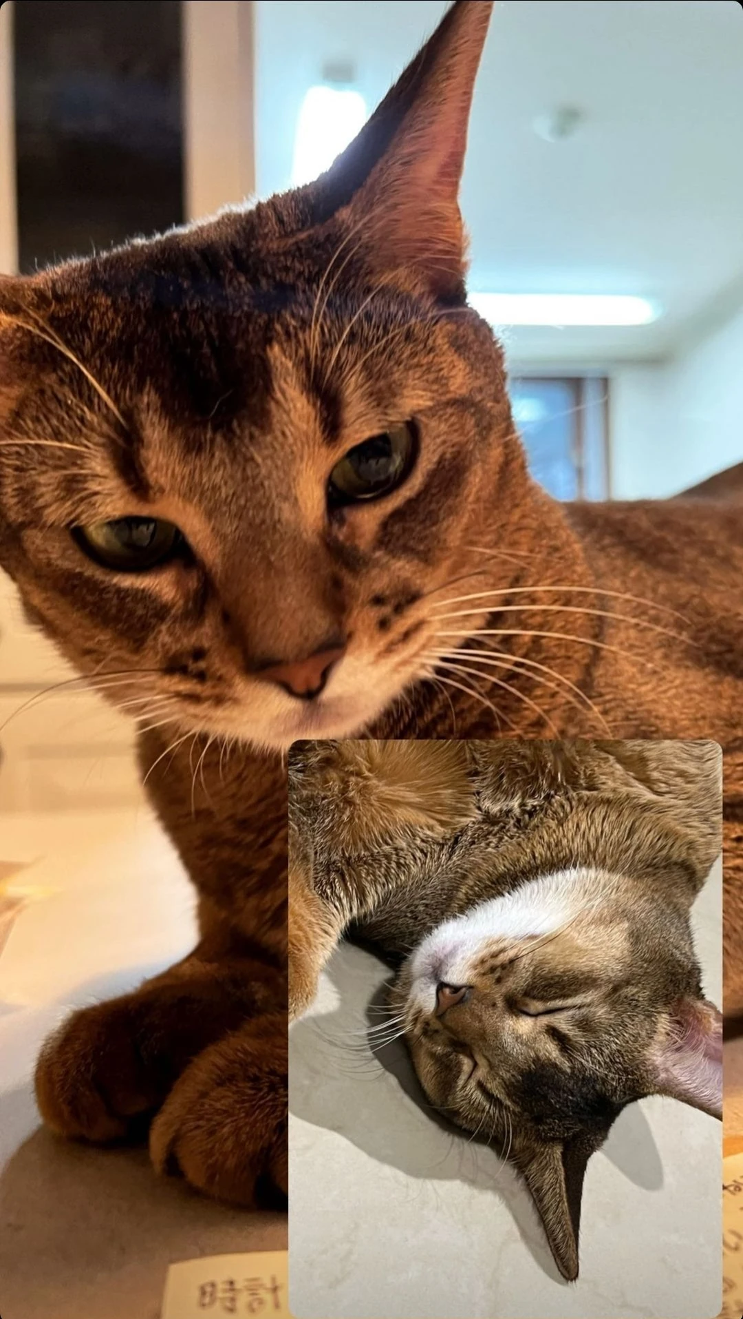 Leon/Gallery | NCT Wiki | Fandom