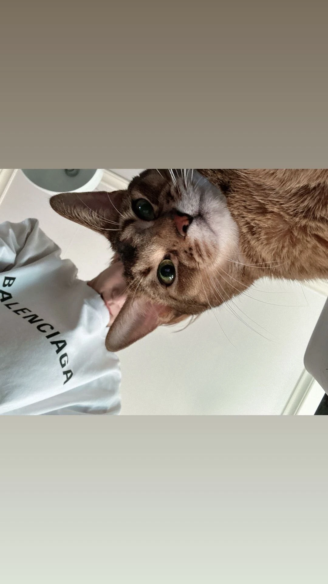 Leon/Gallery | NCT Wiki | Fandom