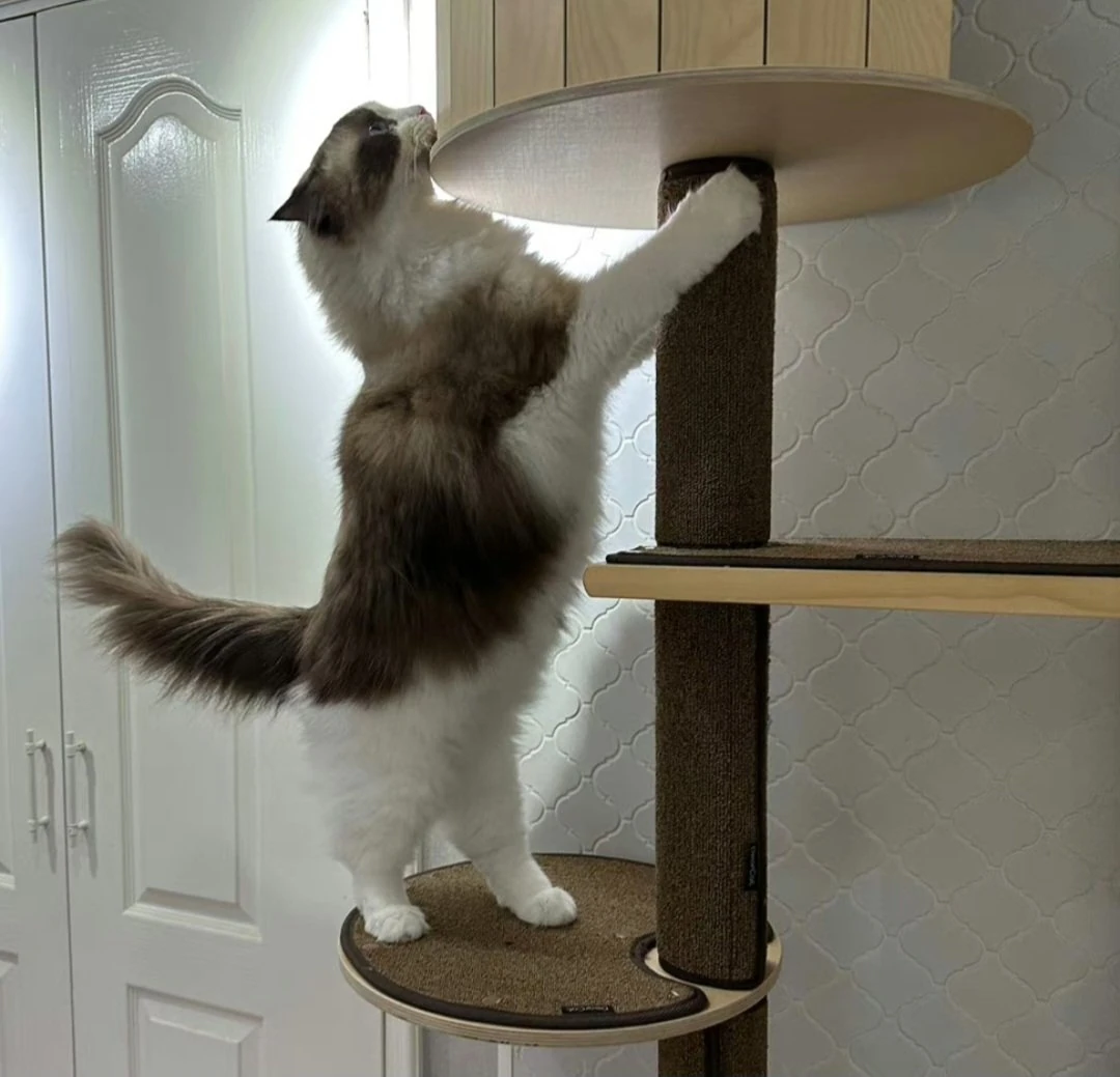 Coco/Gallery | NCT Wiki | Fandom