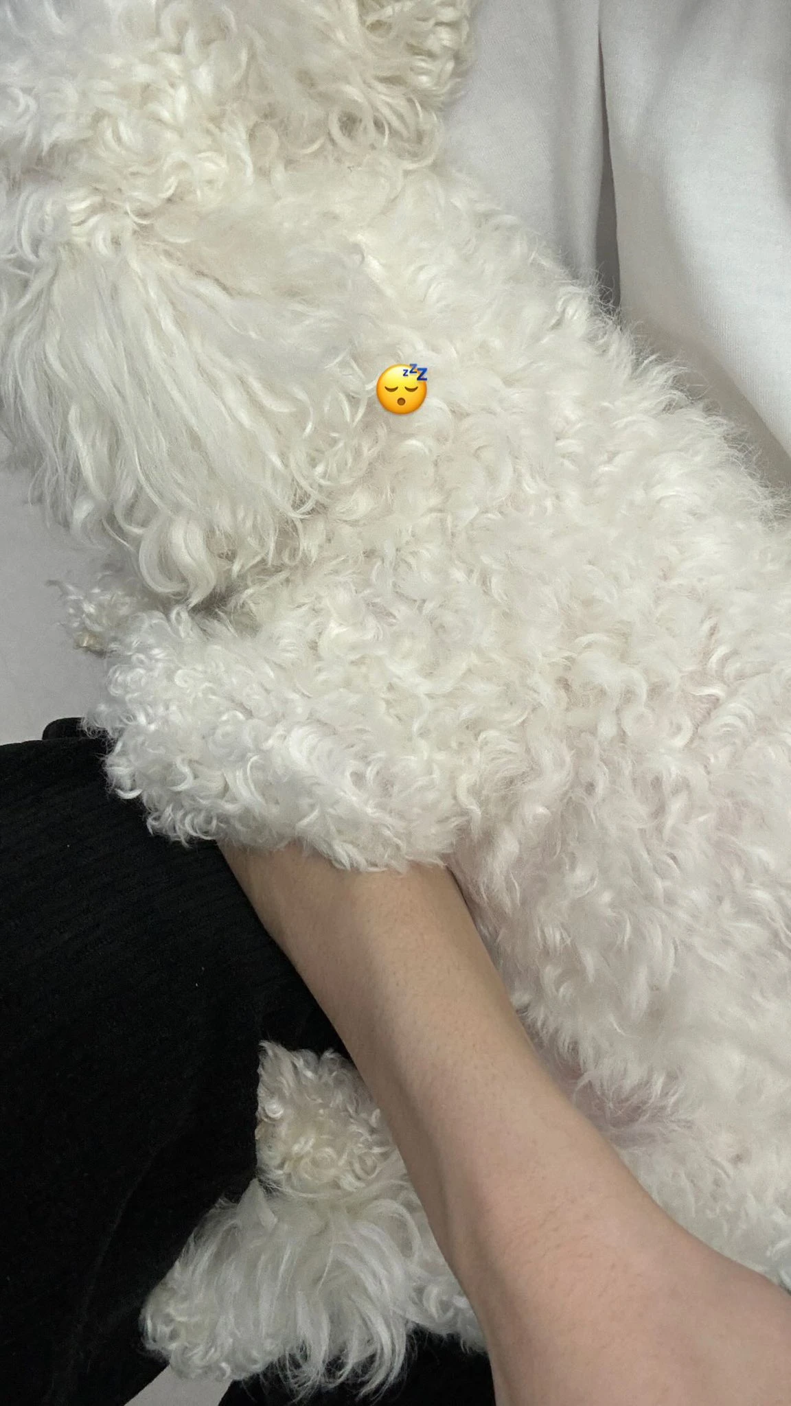 Daegal/Gallery | NCT Wiki | Fandom