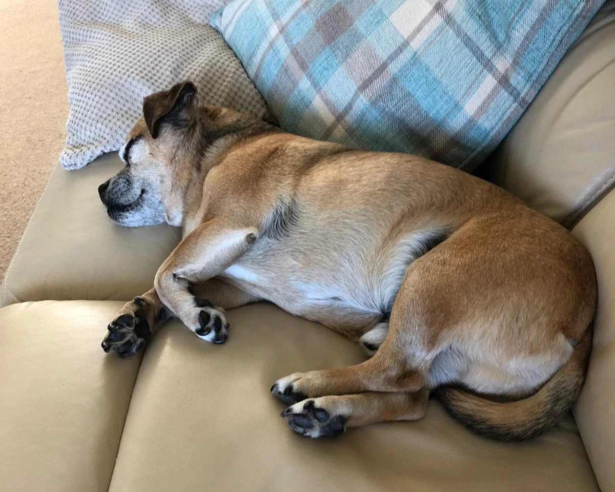 Planet Buster | KC (Our World) Wiki | Fandom