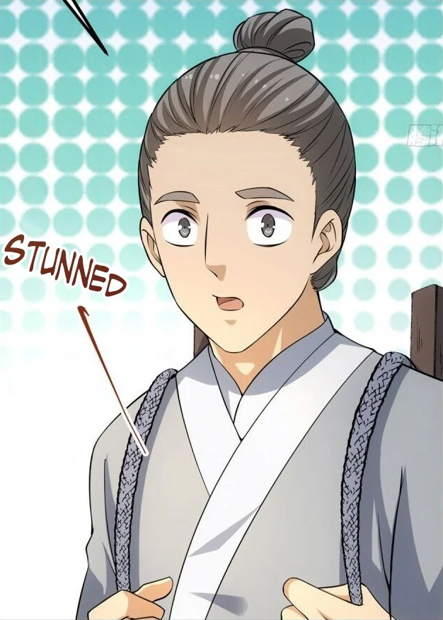 Hei Ting | Keep A Low Profile, Sect Leader Wiki | Fandom