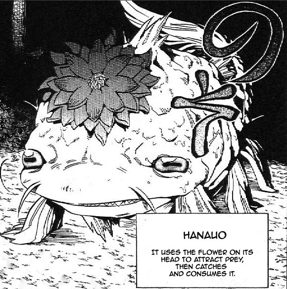 Hanauo | Kekkaishi Wiki | Fandom