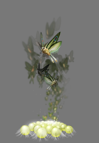Glowmoth Kemo Coliseum Wiki Fandom