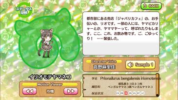 Iriomote Cat | Japari Library Wiki | Fandom