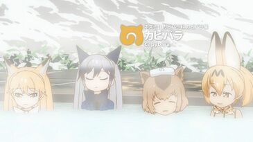 Capybara | Japari Library Wiki | Fandom