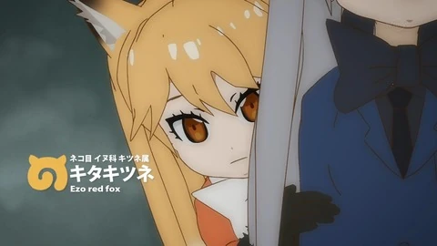 Red Fox Anime Girl