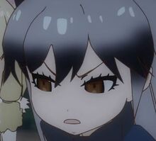 Silver Fox | Japari Library Wiki | Fandom